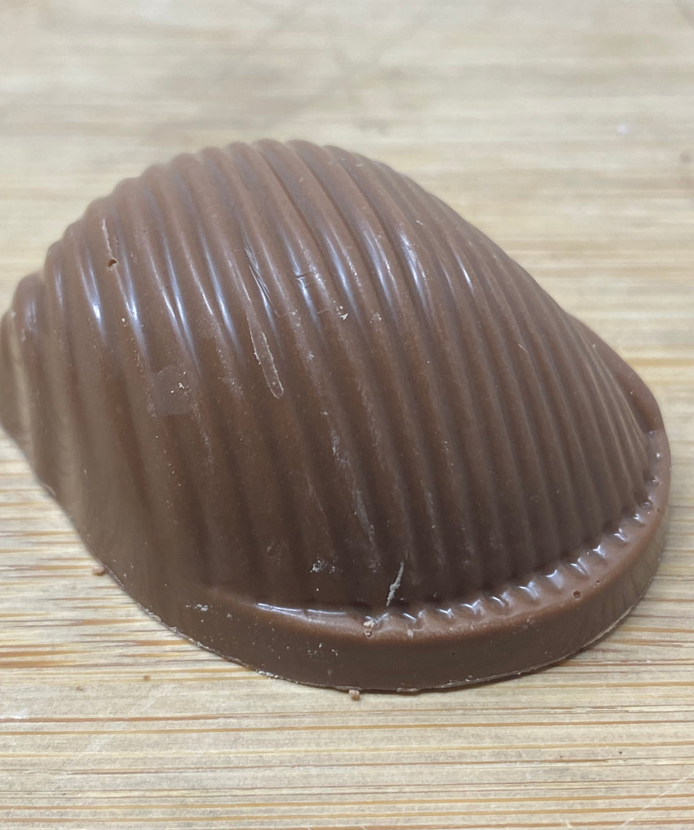 Handmade Milk chocolate Marzipan Shell – Ilfracombe Chocolate Emporium.